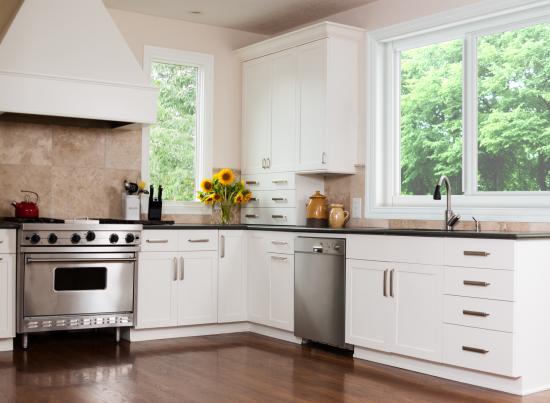 Replacement Horizontal Roller Windows